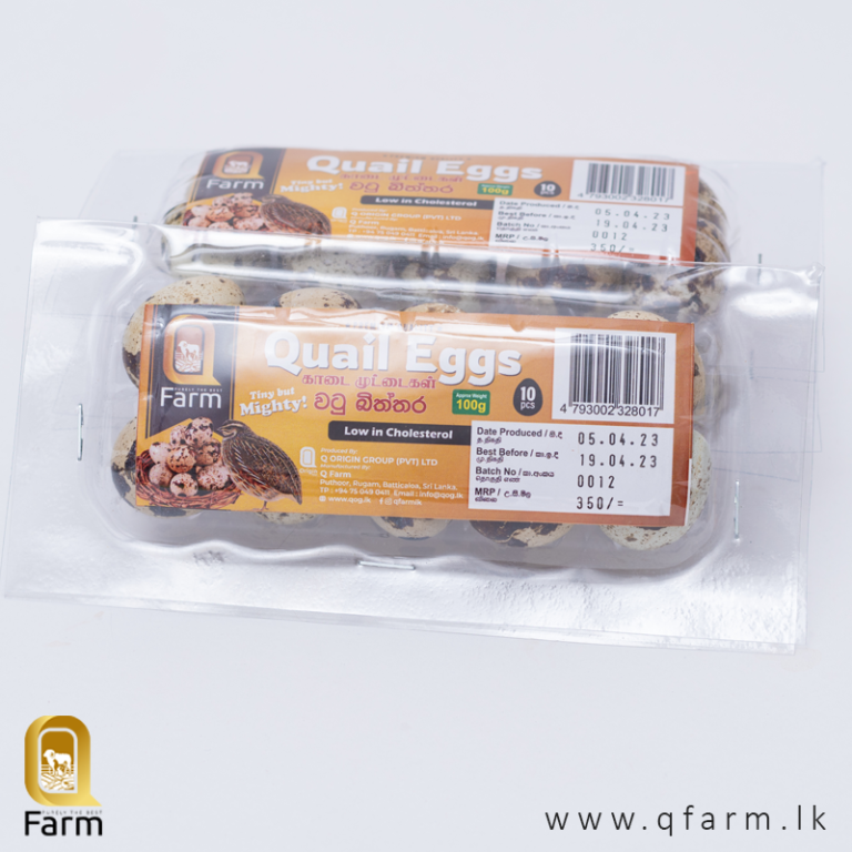 Quail Eggs - Premium 10pcs Pack - Q Farm